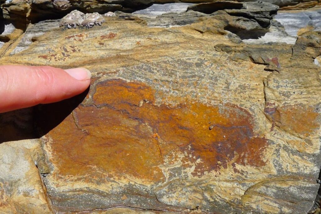 Rock Detectives – Stories in Stone